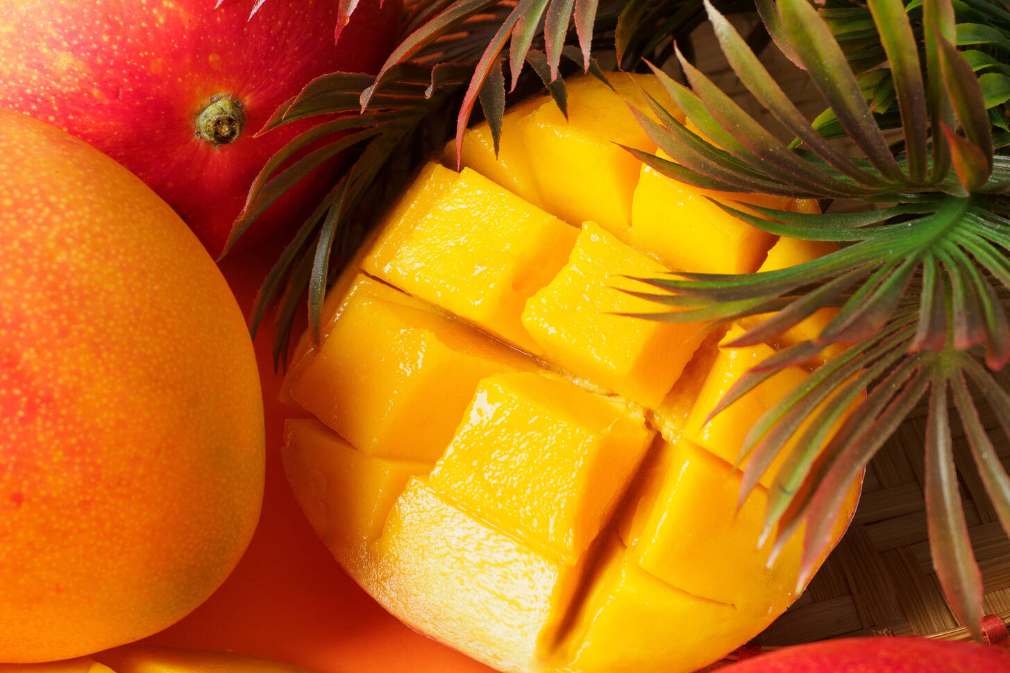 Ripe mango Jigsaw Puzzle (Plants, Fruits) | Puzzle Garage