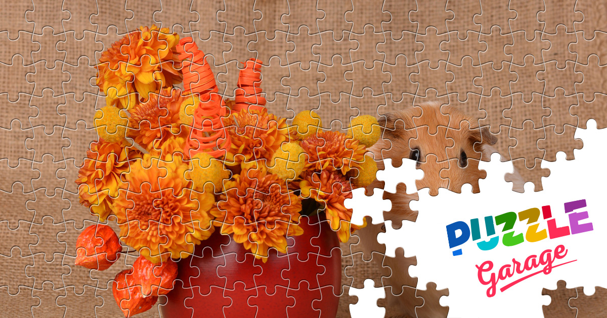 Guinea pig and bouquet Jigsaw Puzzle (Animals, Pets) | Puzzle Garage