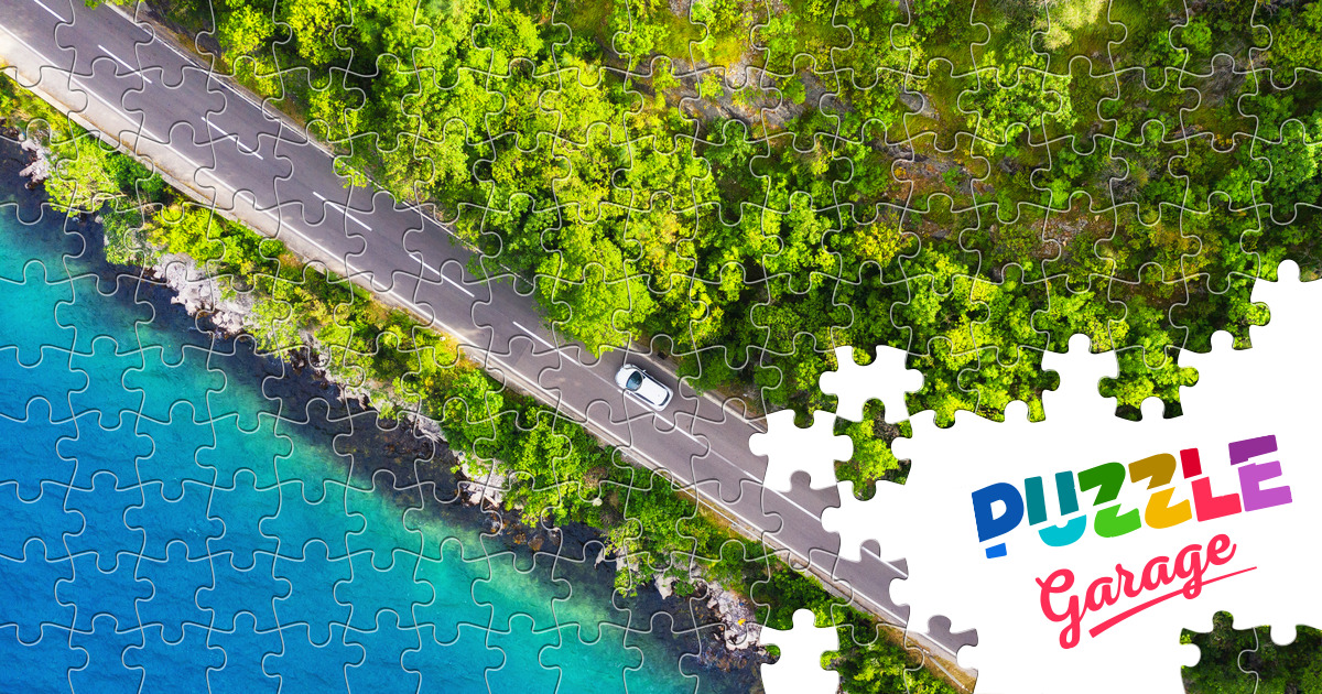 Top view of the road and the forest Jigsaw Puzzle (Other, Aerial view ...