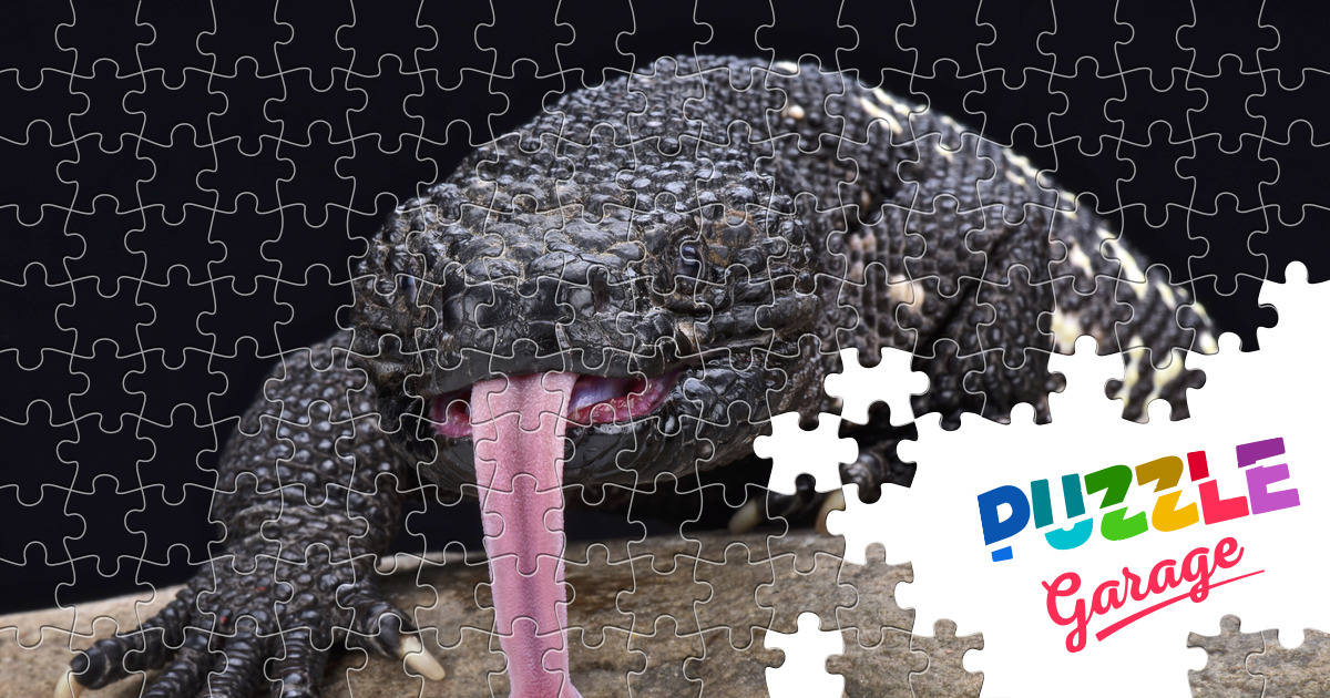 Guatemalan scaled lizard Jigsaw Puzzle (Animals, Reptiles) | Puzzle Garage
