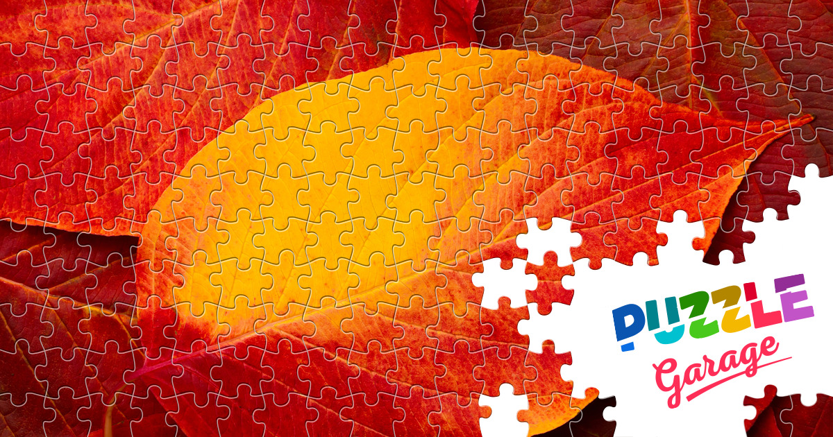 Orange autumn leaves Jigsaw Puzzle (Plants, Trees) | Puzzle Garage
