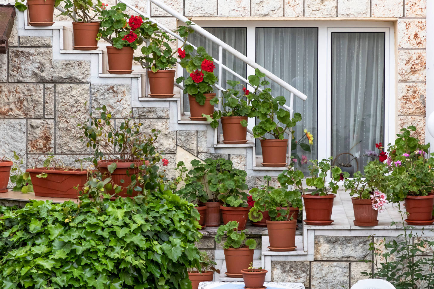 Ladder with flowers near the house Jigsaw Puzzle (Home, Facades ...