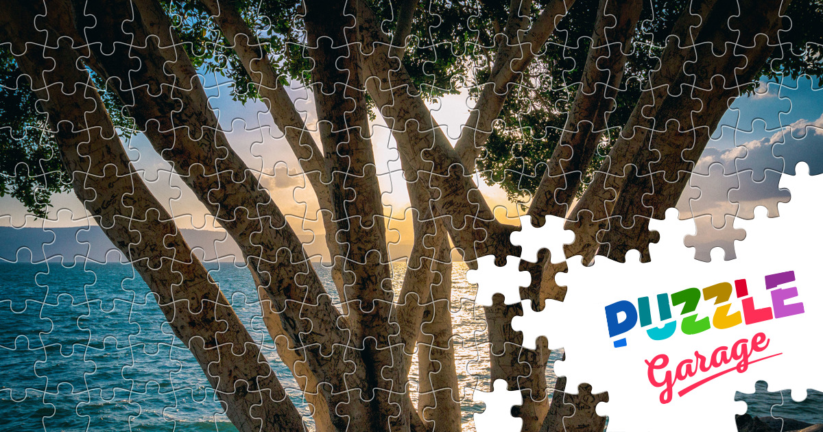 Tree on the shore of the Sea of Galilee Jigsaw Puzzle (Countries ...