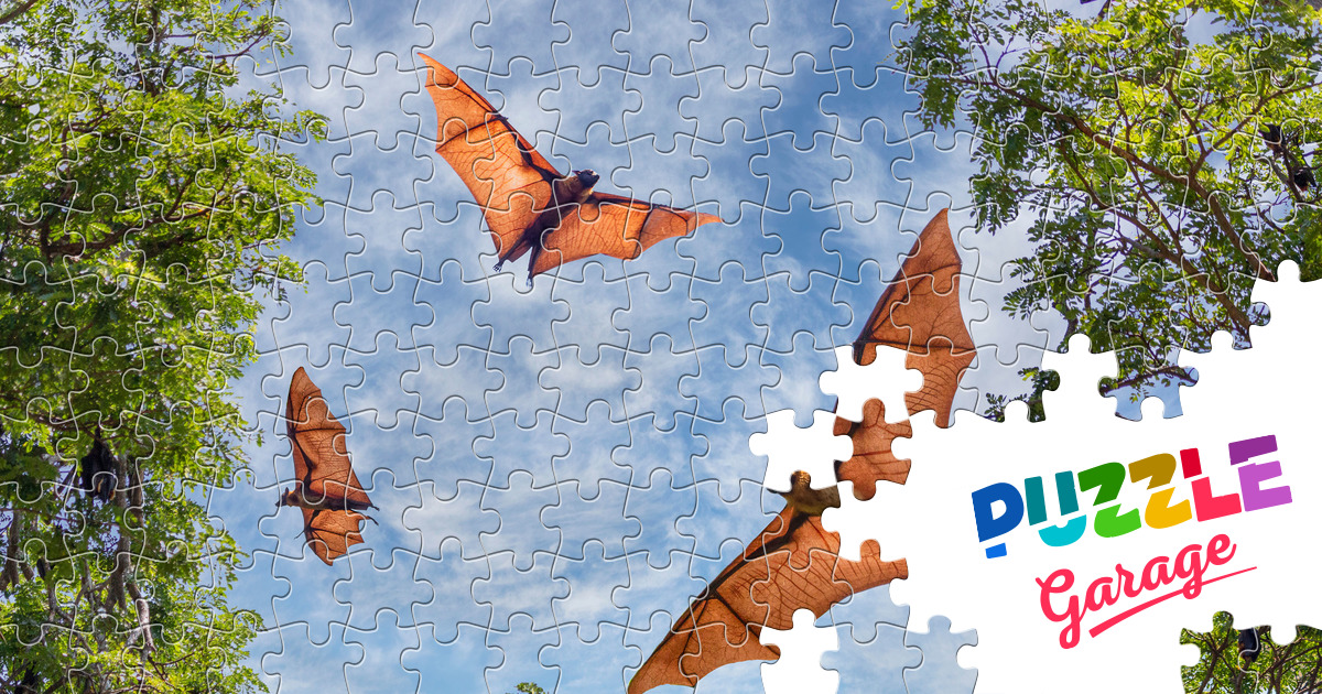 Bats in flight Jigsaw Puzzle (Animals, Mammals) | Puzzle Garage