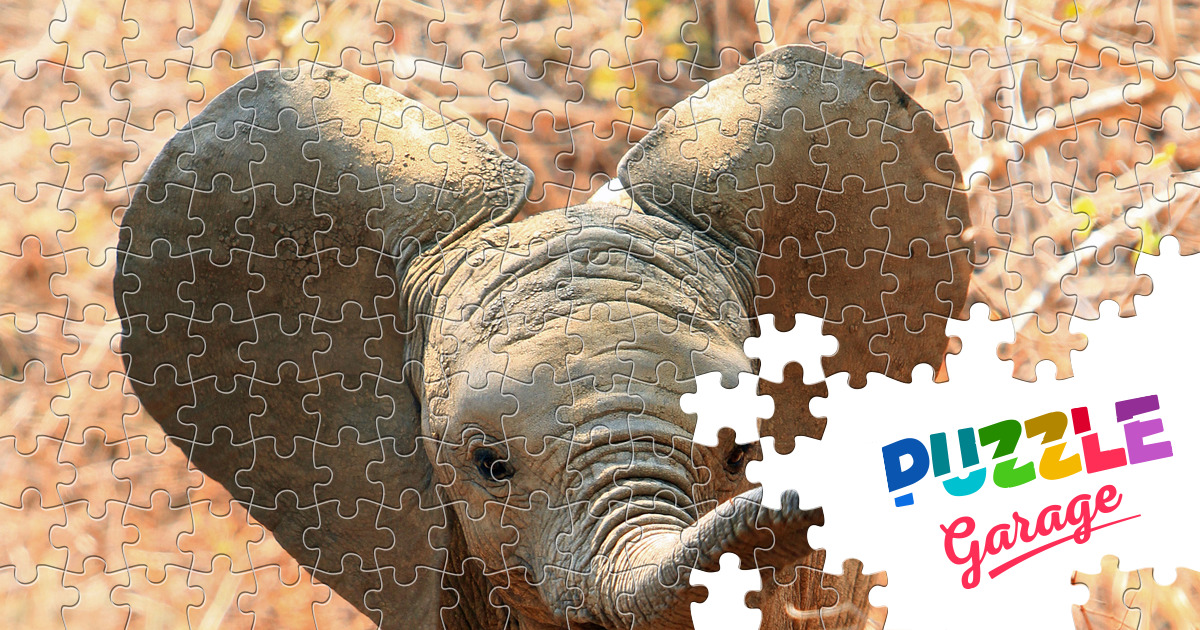 Baby elephant Jigsaw Puzzle (Animals, Mammals) | Puzzle Garage