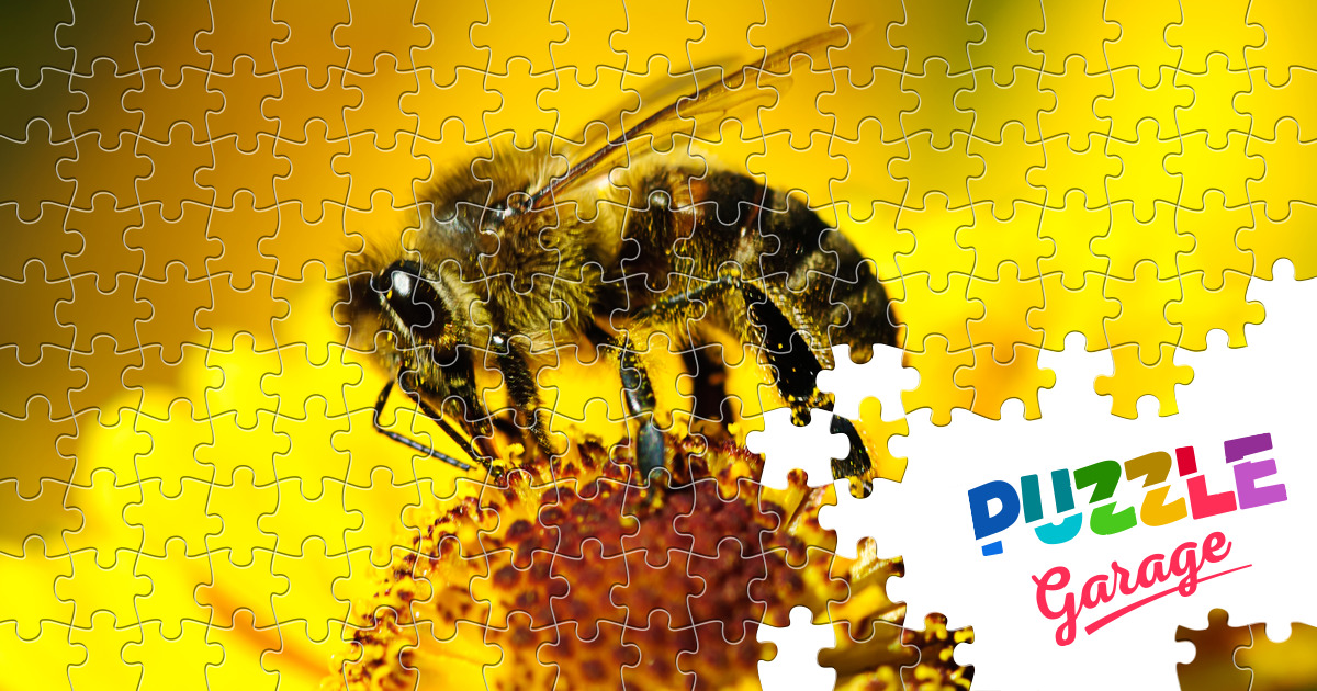 Bee Jigsaw Puzzle (Other, Macro) | Puzzle Garage