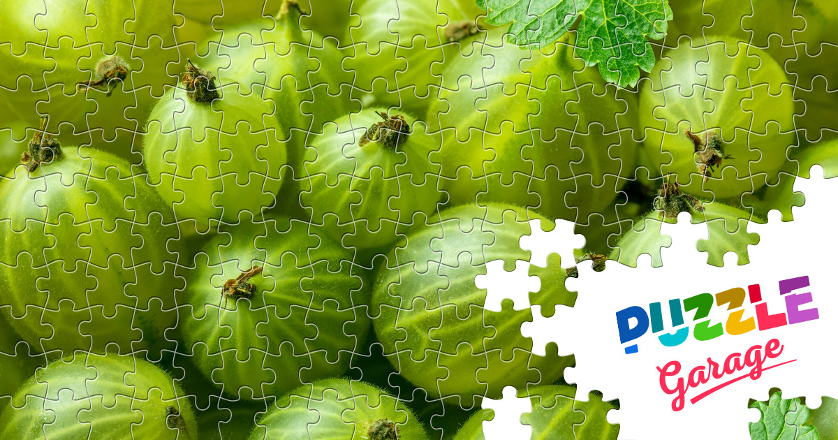 Gooseberry Jigsaw Puzzle (Plants, Berries) | Puzzle Garage