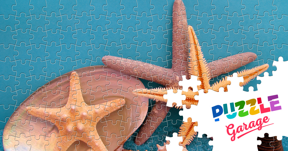 Shells, pearls and starfish Jigsaw Puzzle (Animals, Marine life ...
