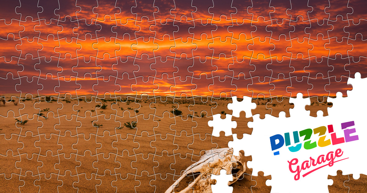 Skull in the desert Jigsaw Puzzle (Nature, Desert) | Puzzle Garage