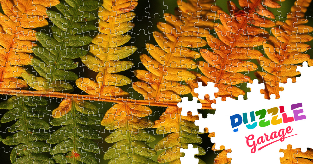 Macro photo of autumn leaves Jigsaw Puzzle (Other, Macro) | Puzzle Garage