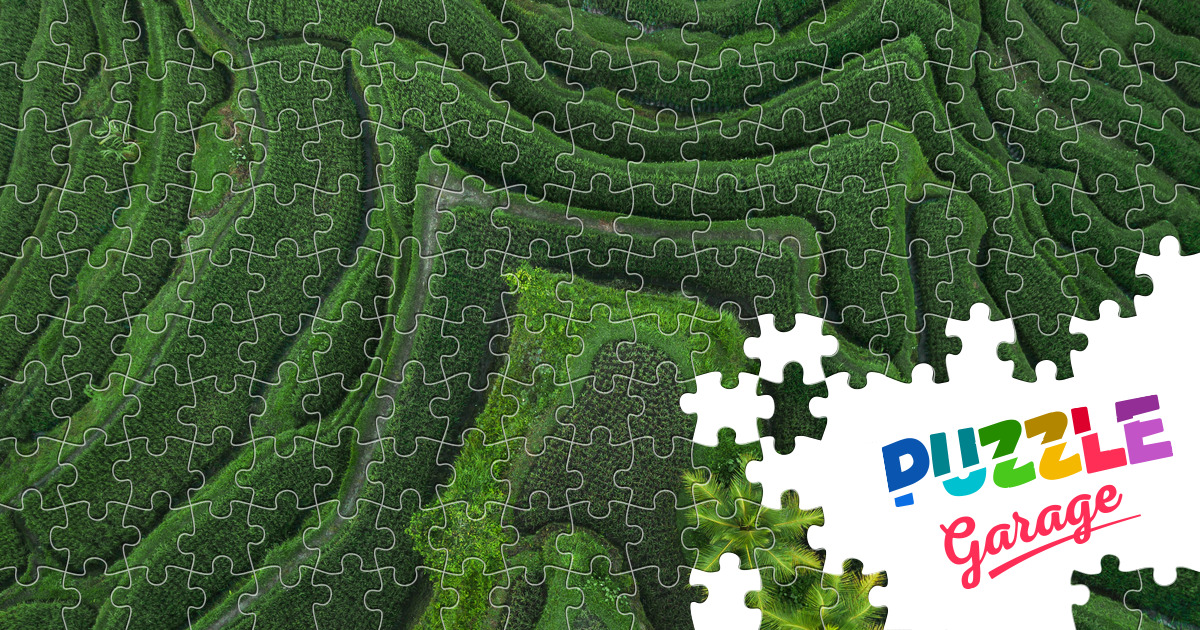 View of the rice terraces Jigsaw Puzzle (Other, Aerial view) | Puzzle ...