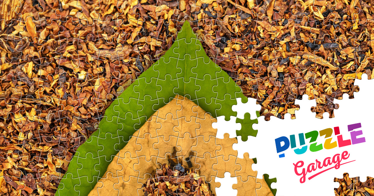 Tobacco and tobacco leaves Jigsaw Puzzle (Other, Macro) | Puzzle Garage