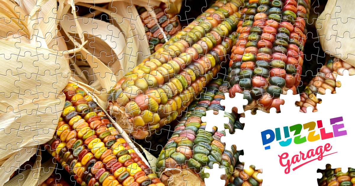 Assorted corn Jigsaw Puzzle (Plants, Vegetables) | Puzzle Garage
