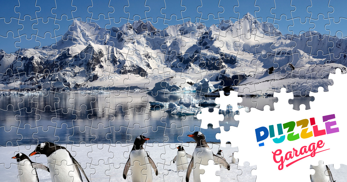 Papuan penguins Jigsaw Puzzle (Animals, Birds) | Puzzle Garage