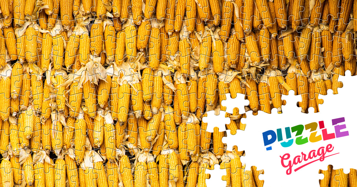 Corn Jigsaw Puzzle (Plants, Vegetables) | Puzzle Garage