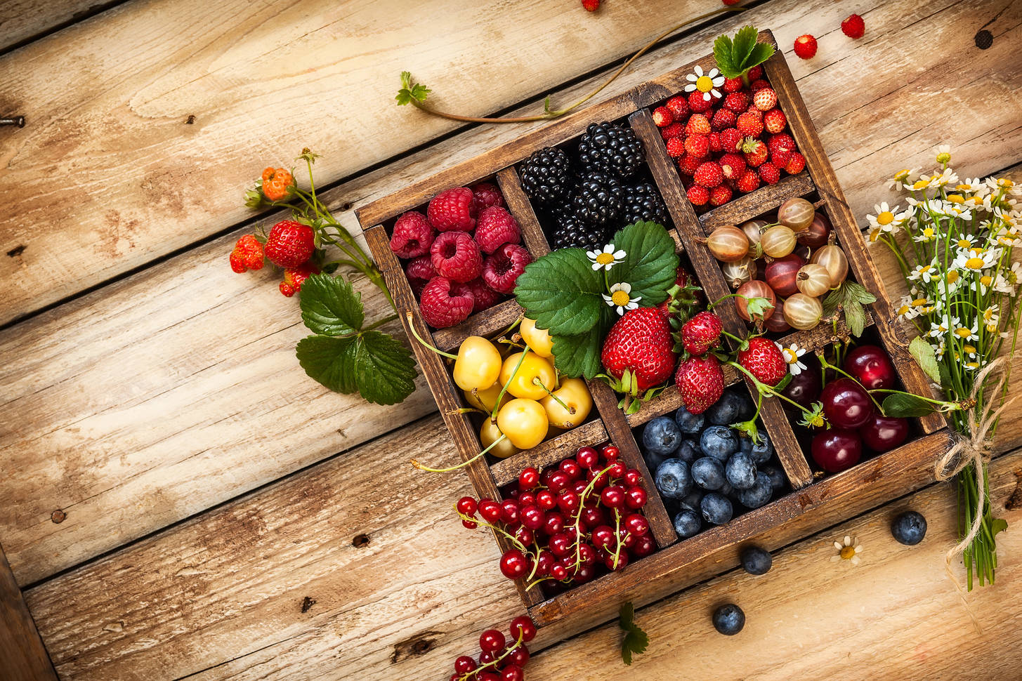 Fresh berries Jigsaw Puzzle (Plants, Berries) | Puzzle Garage