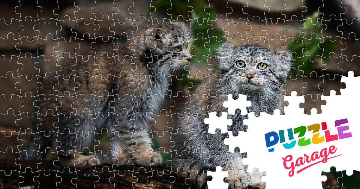 Manuli on a log Jigsaw Puzzle (Animals, Mammals) | Puzzle Garage