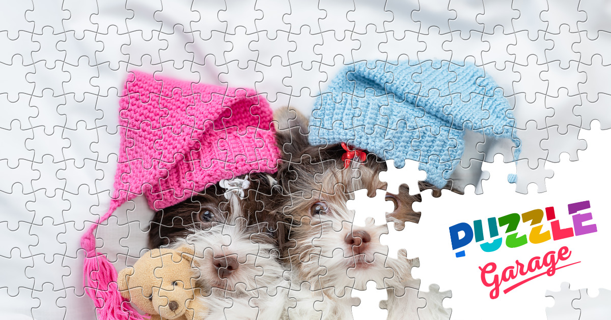 Puppies in hats Jigsaw Puzzle (Animals, Pets) | Puzzle Garage