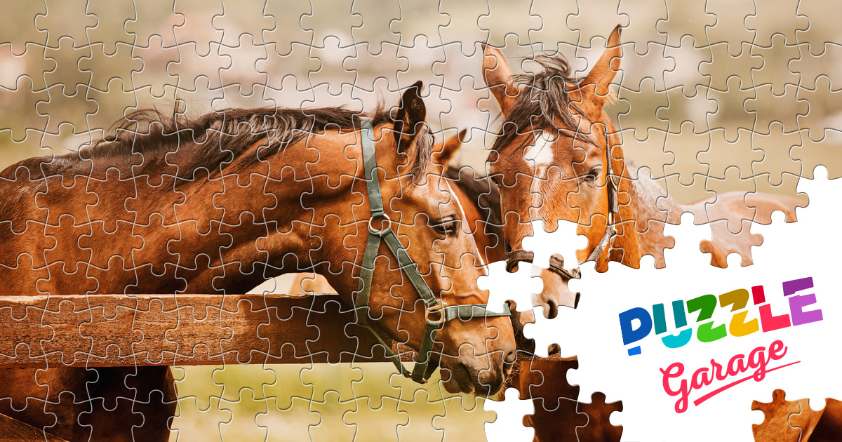 Riding horses Jigsaw Puzzle (Animals, Pets) | Puzzle Garage