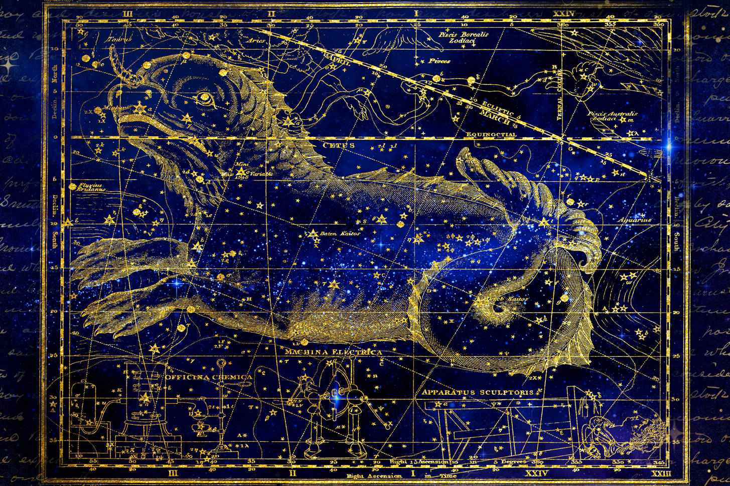 Constellation Cetus Jigsaw Puzzle (Space, Astronomy) | Puzzle Garage