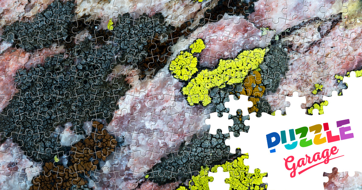 Rock surface with colorful lichens Jigsaw Puzzle (Other, Macro ...