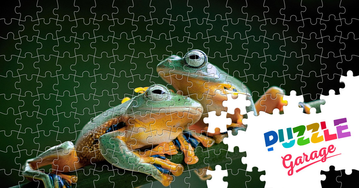 Two frogs on a branch Jigsaw Puzzle (Animals, Amphibians) | Puzzle Garage