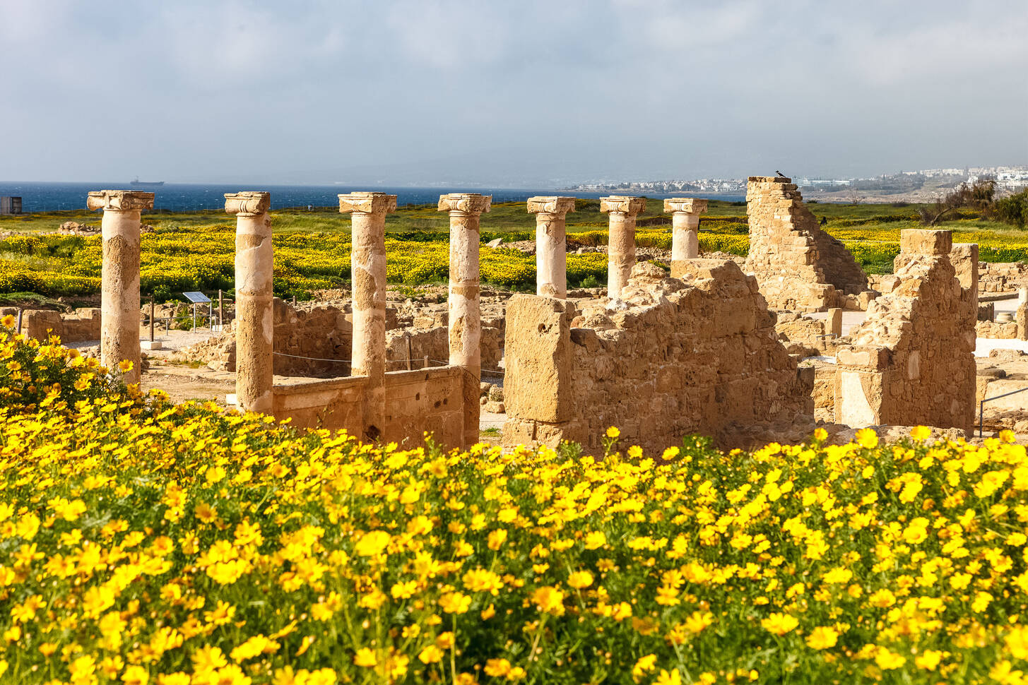 Paphos Archaeological Park Jigsaw Puzzle (Countries, Cyprus) | Puzzle ...
