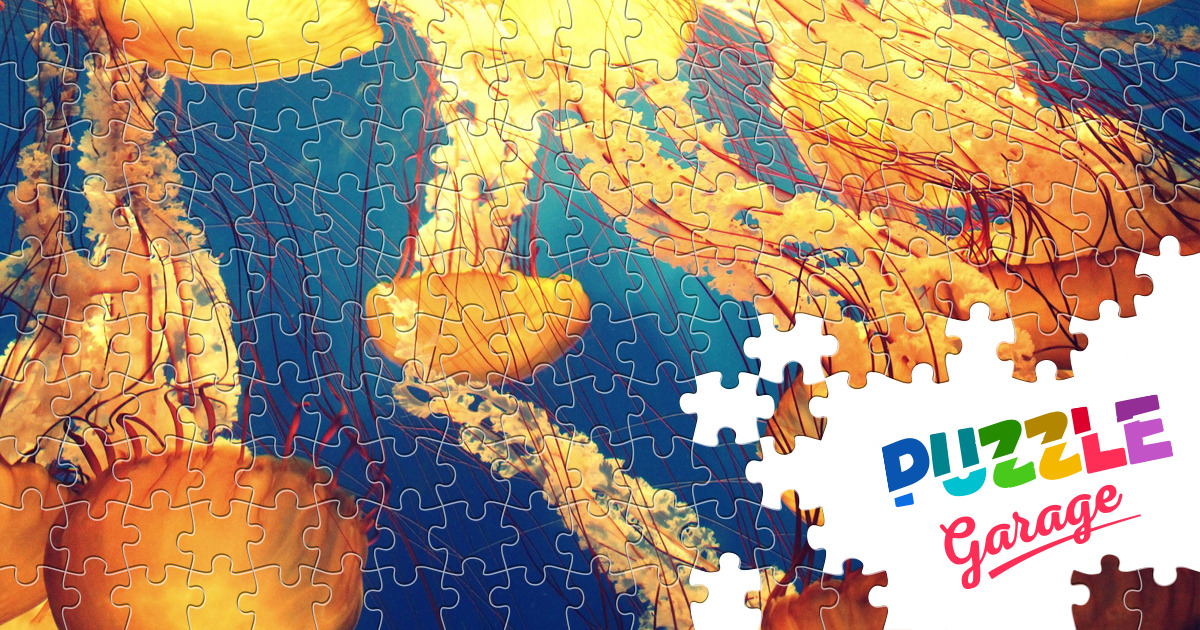 Jellyfish in the sea Jigsaw Puzzle (Animals, Marine life) | Puzzle Garage