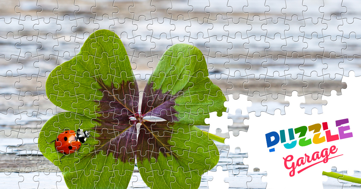 Ladybug on clover Jigsaw Puzzle (Animals, Insects) | Puzzle Garage