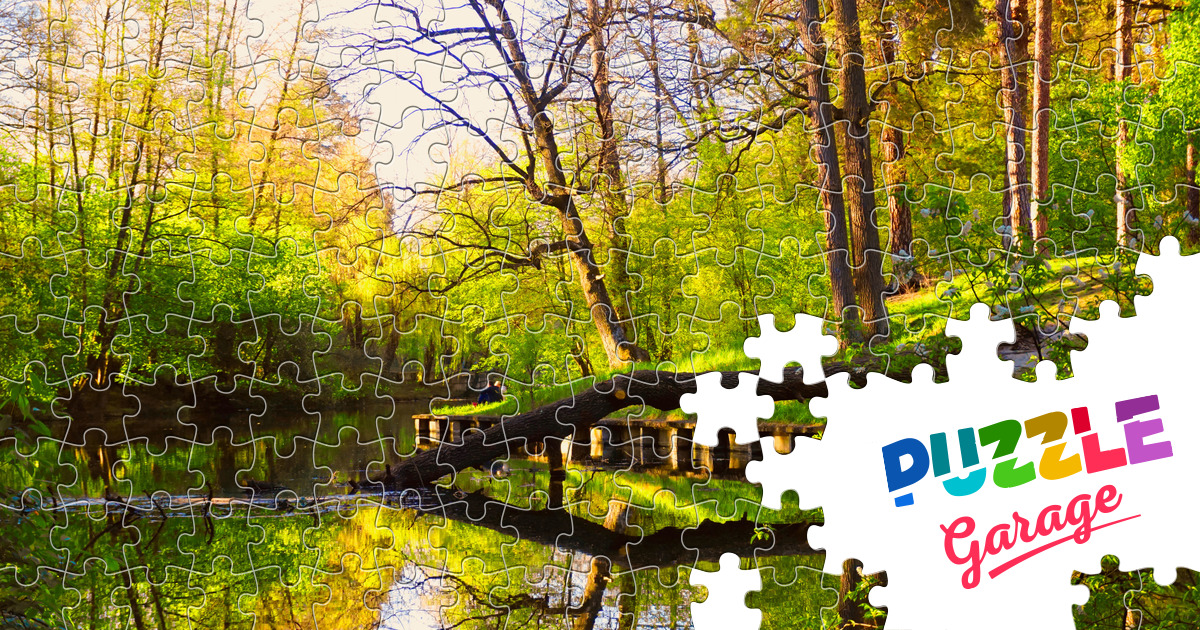 Trees along the river Jigsaw Puzzle (Plants, Trees) | Puzzle Garage