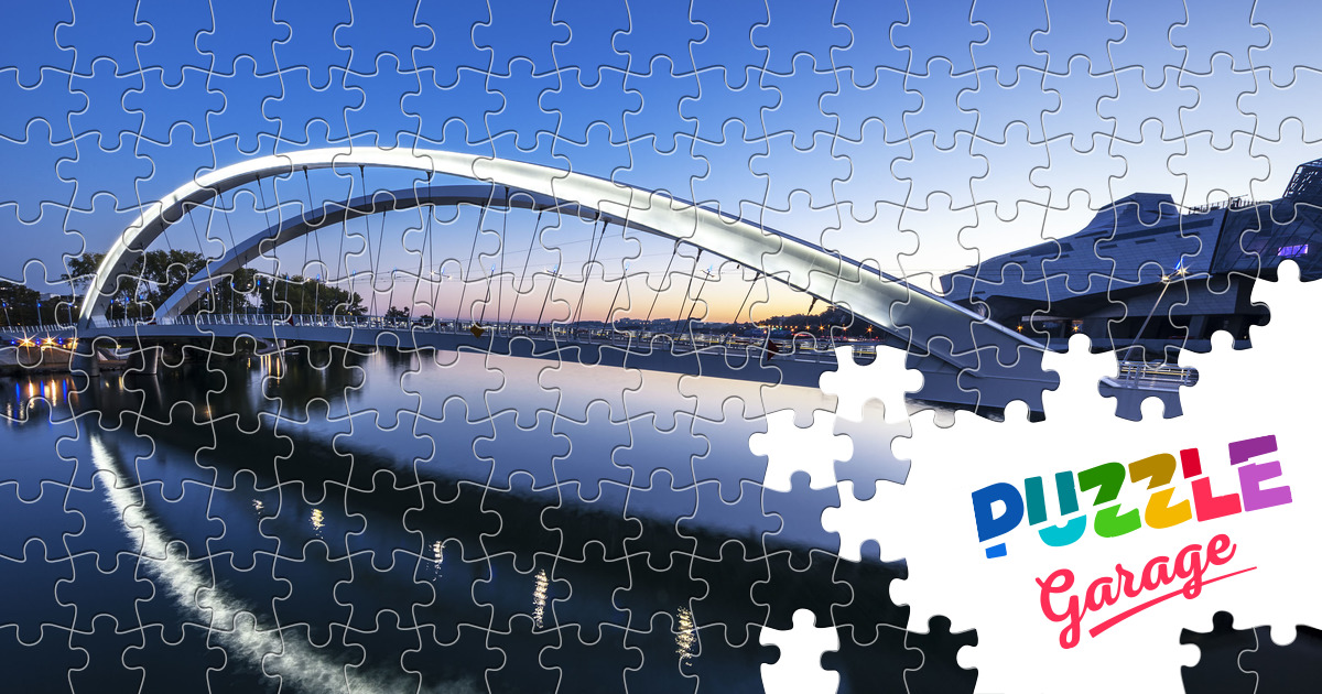 Raymond Barre bridge in Lyon Jigsaw Puzzle (Countries, France) | Puzzle ...