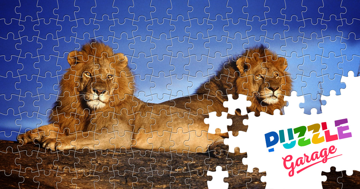Lions Jigsaw Puzzle (Animals, Mammals) | Puzzle Garage