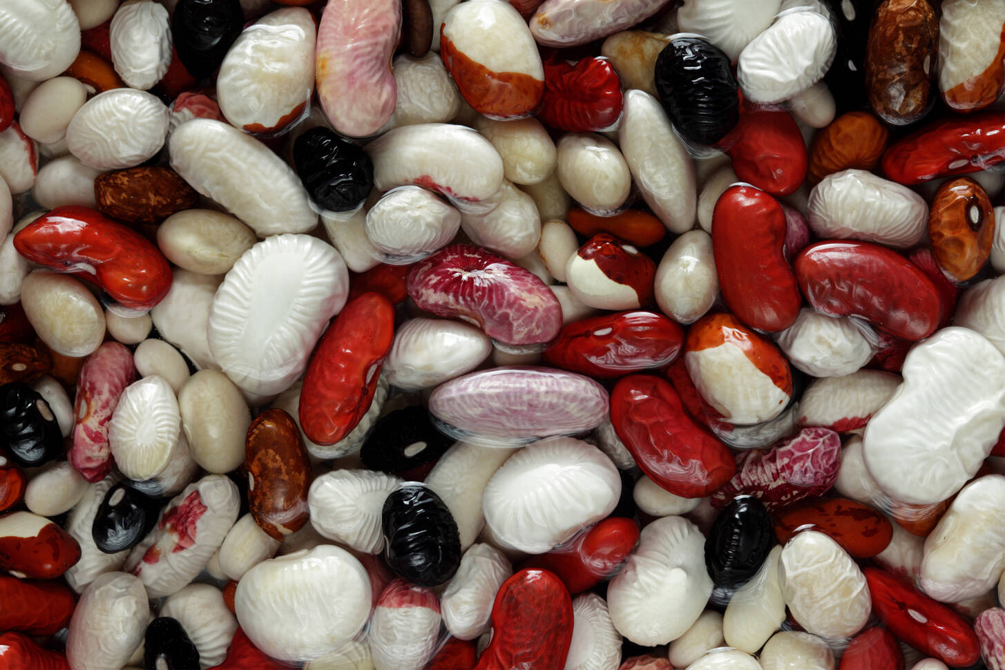 Beans Jigsaw Puzzle (Home, Food) | Puzzle Garage