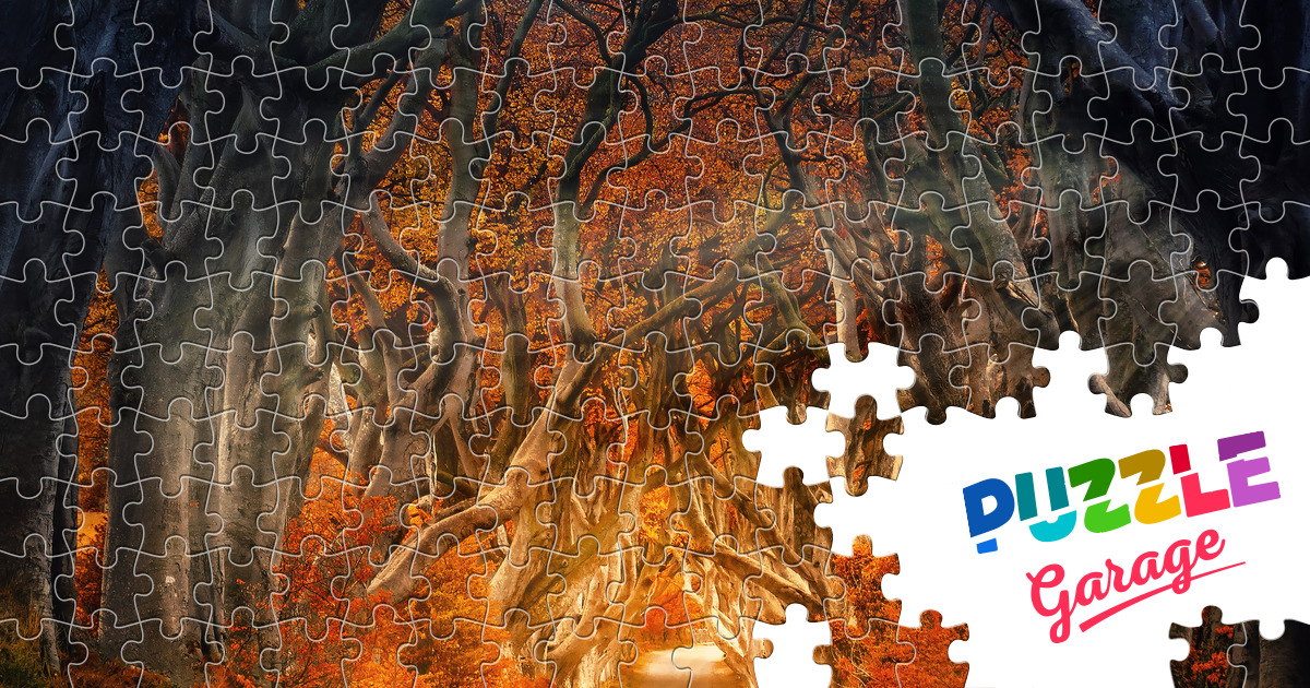 Beech Alley - Dark Hedges Jigsaw Puzzle (Countries, Great Britain ...