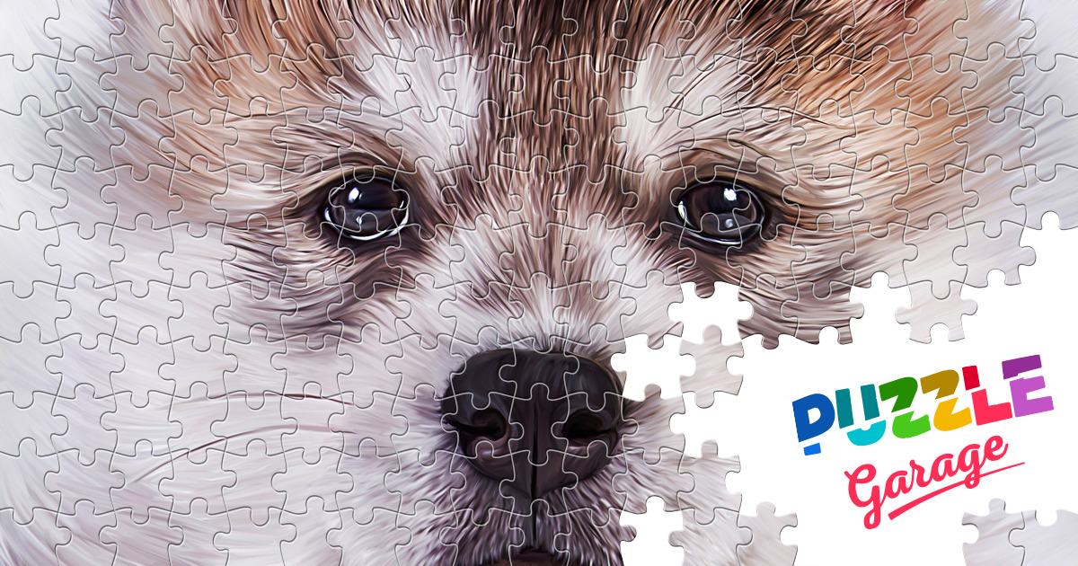 Husky Jigsaw Puzzle (Animals, Pets) | Puzzle Garage