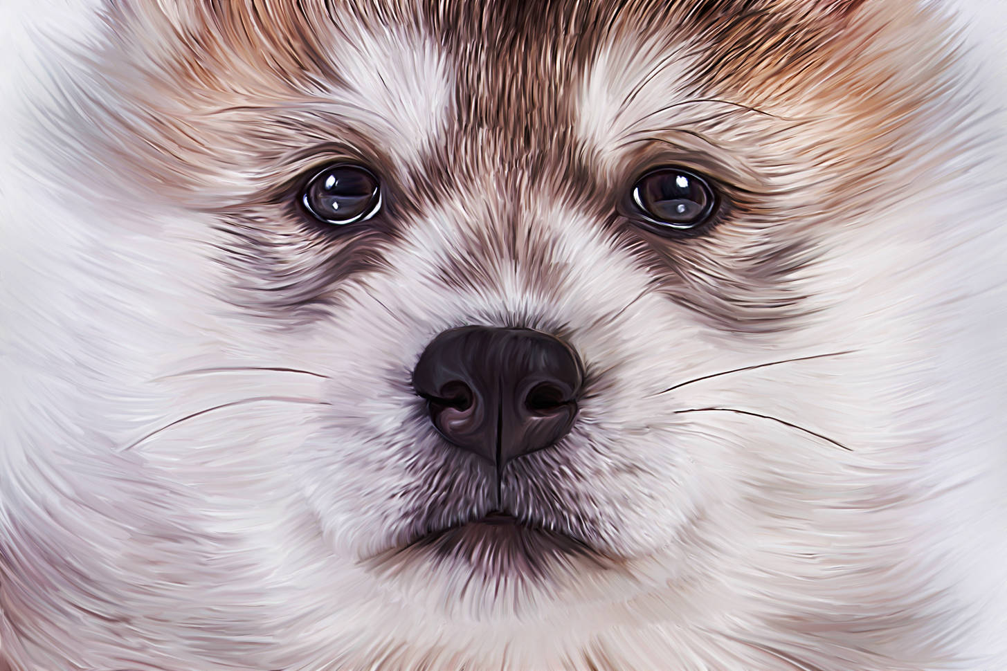 Husky Jigsaw Puzzle (Animals, Pets) | Puzzle Garage