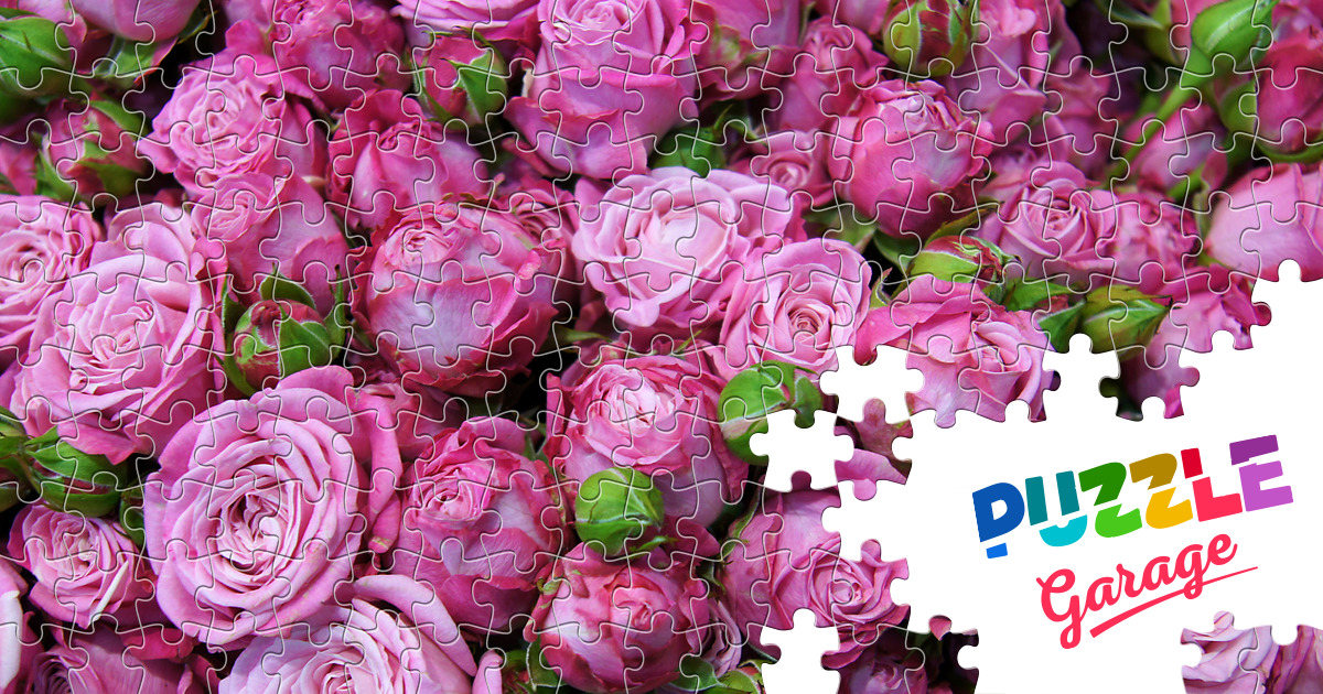 Pink roses Jigsaw Puzzle (Plants, Flowers) | Puzzle Garage
