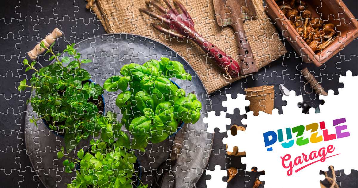 Potted plants and gardening tools Jigsaw Puzzle (Stuff, Tools) | Puzzle ...