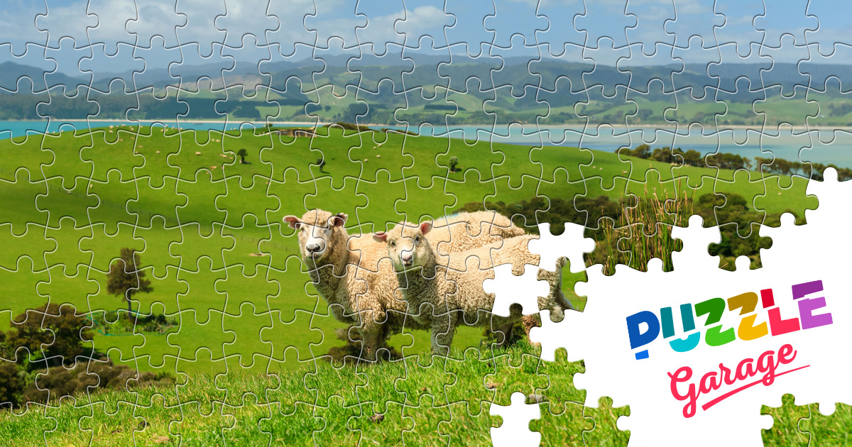 Sheep in the mountains Jigsaw Puzzle (Animals, Pets) | Puzzle Garage