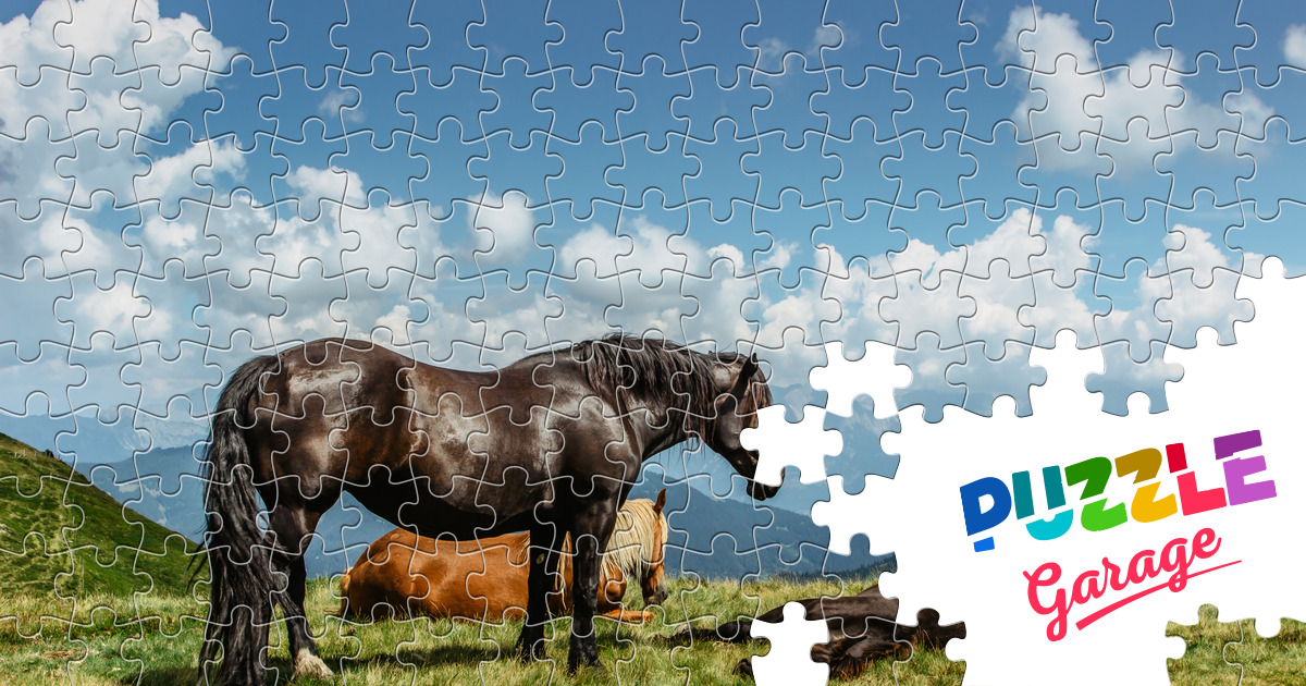 Horses on an alpine meadow Jigsaw Puzzle (Animals, Pets) | Puzzle Garage