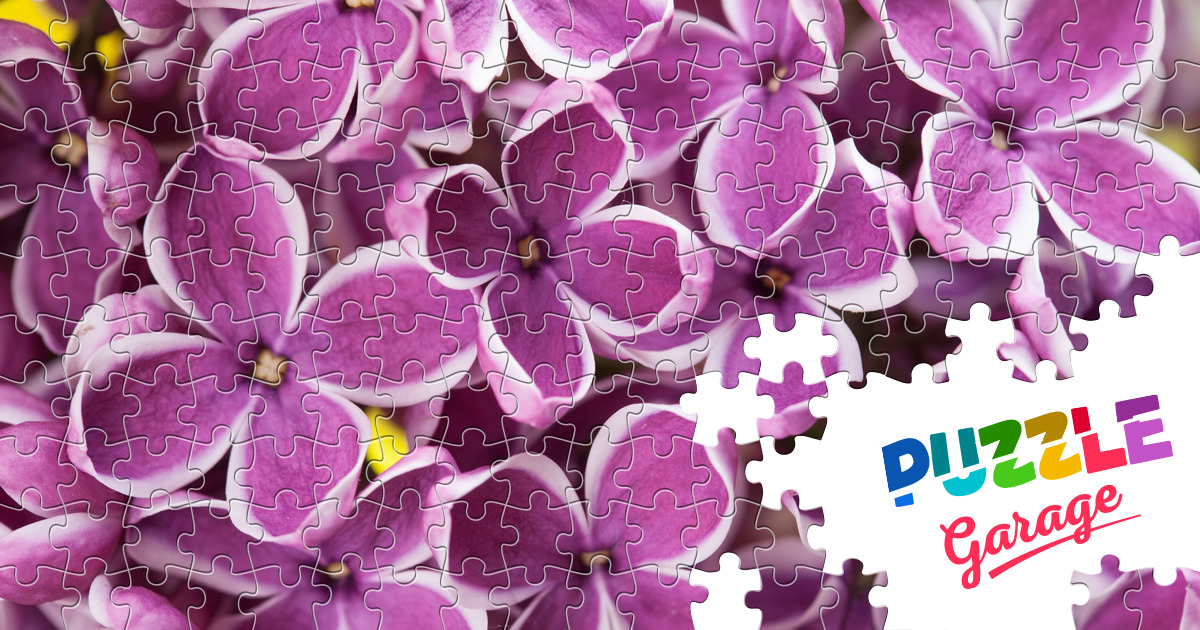 Lilac Jigsaw Puzzle (Plants, Flowers) | Puzzle Garage
