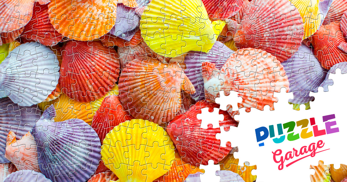 Collection of colorful seashells Jigsaw Puzzle (Other, Collecting ...