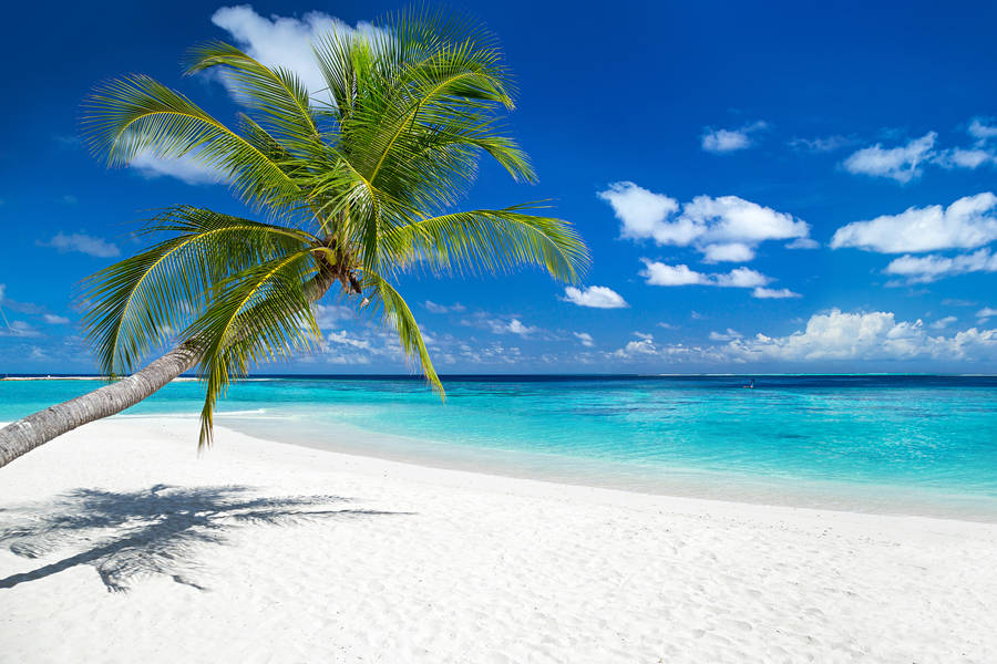 Seas and Oceans Jigsaw Puzzles | Puzzle Garage