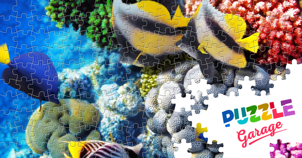 Corals and fish Jigsaw Puzzle (Animals, Marine life) | Puzzle Garage