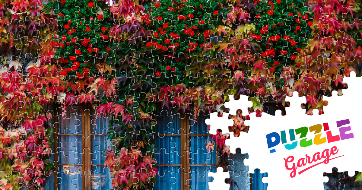 Ivy-covered windows Jigsaw Puzzle (Home, Facades) | Puzzle Garage