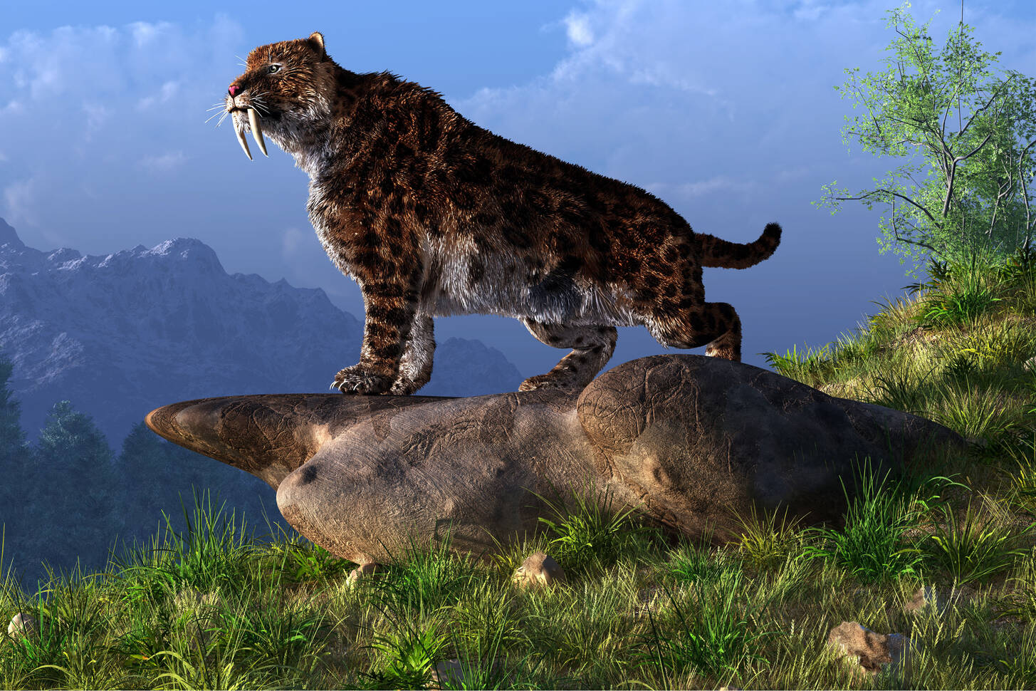 Sabertooth cat Jigsaw Puzzle (Animals, Prehistoric animals) | Puzzle Garage
