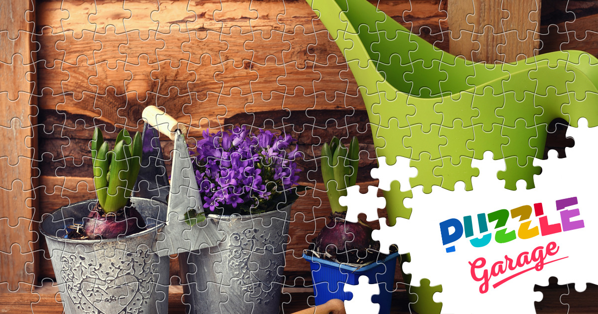 Frühlingsblumen in Töpfen Puzzle (Pflanzen, Blumen) | Puzzle Garage