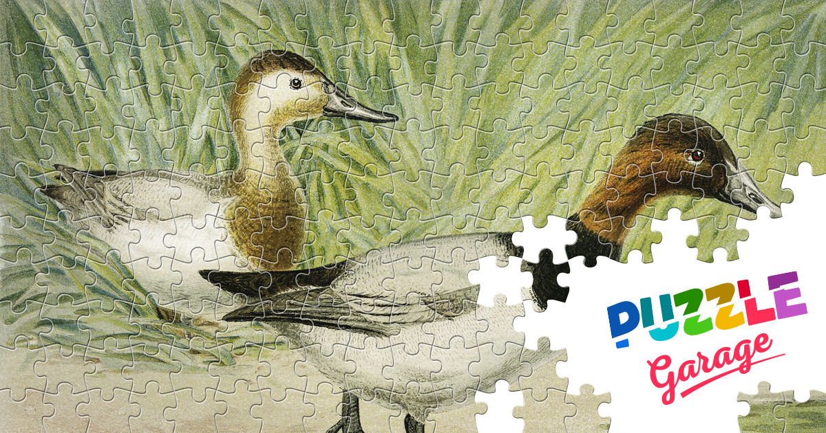 Ducks in painting Jigsaw Puzzle (Animals, Birds) | Puzzle Garage