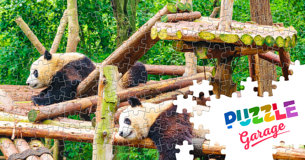 Panda Jigsaw Puzzle (Countries, China) | Puzzle Garage
