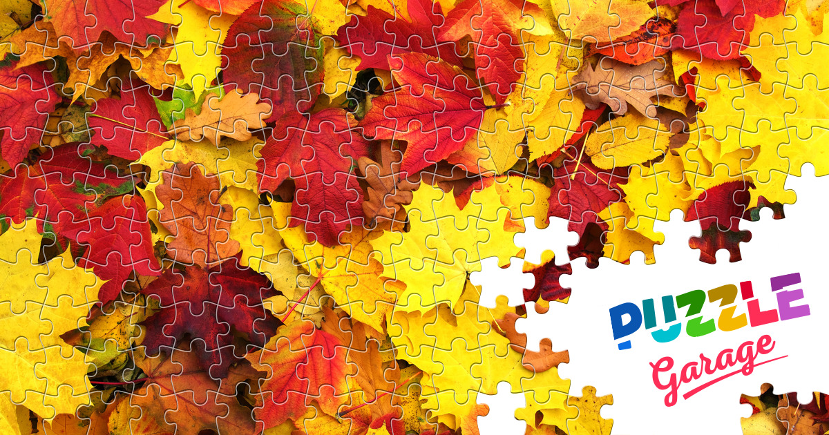 Fallen autumn leaves Jigsaw Puzzle (Plants, Trees) | Puzzle Garage